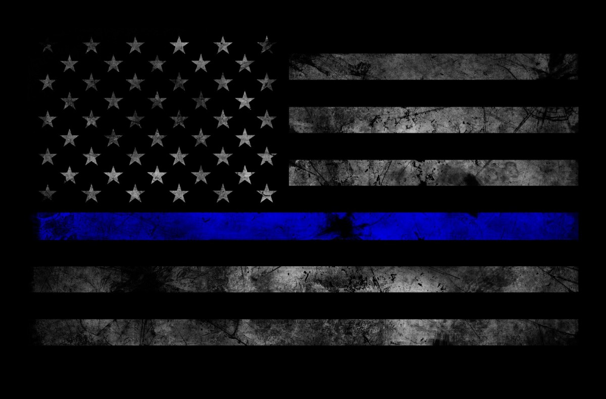 Arrested Developments United States Constitutional Auditors Higher